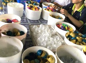 TRAINING/SHELTERED WORKSHOP - Eden Handicap Service Centre